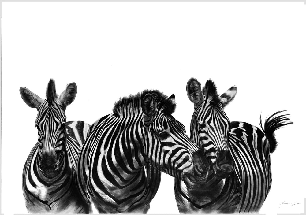 Collections – Fine Art Portfolio