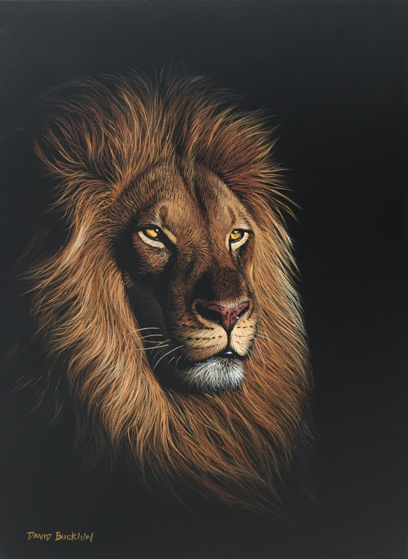 David Bucklow Orginal – Fine Art Portfolio
