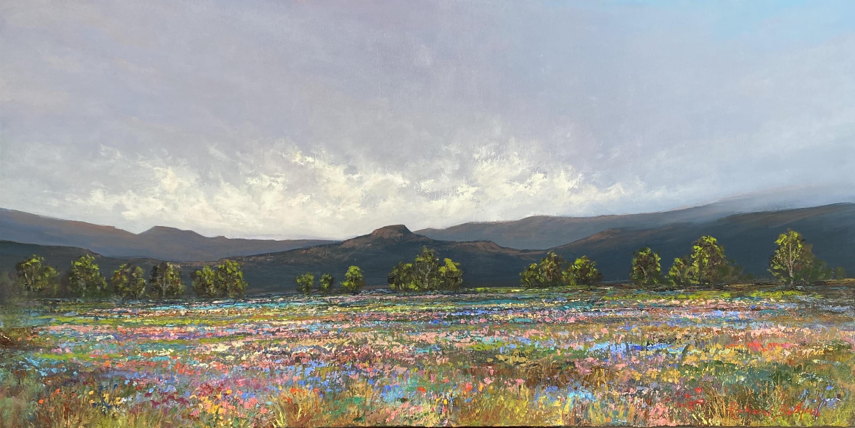 Collections – Fine Art Portfolio