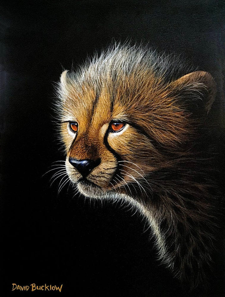 David Bucklow – Fine Art Portfolio