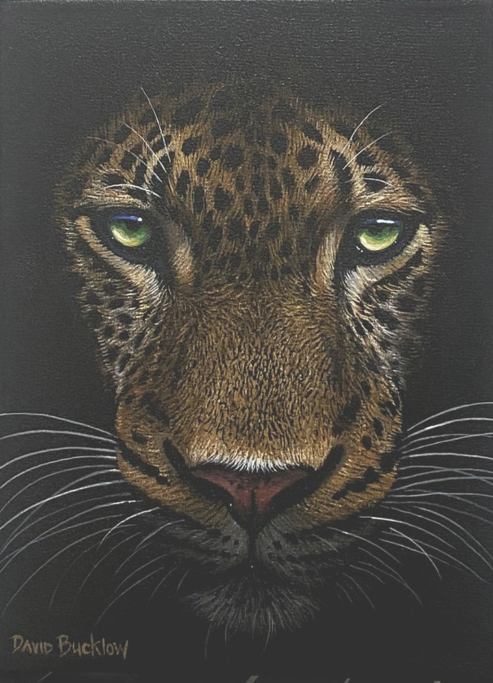David Bucklow – Fine Art Portfolio