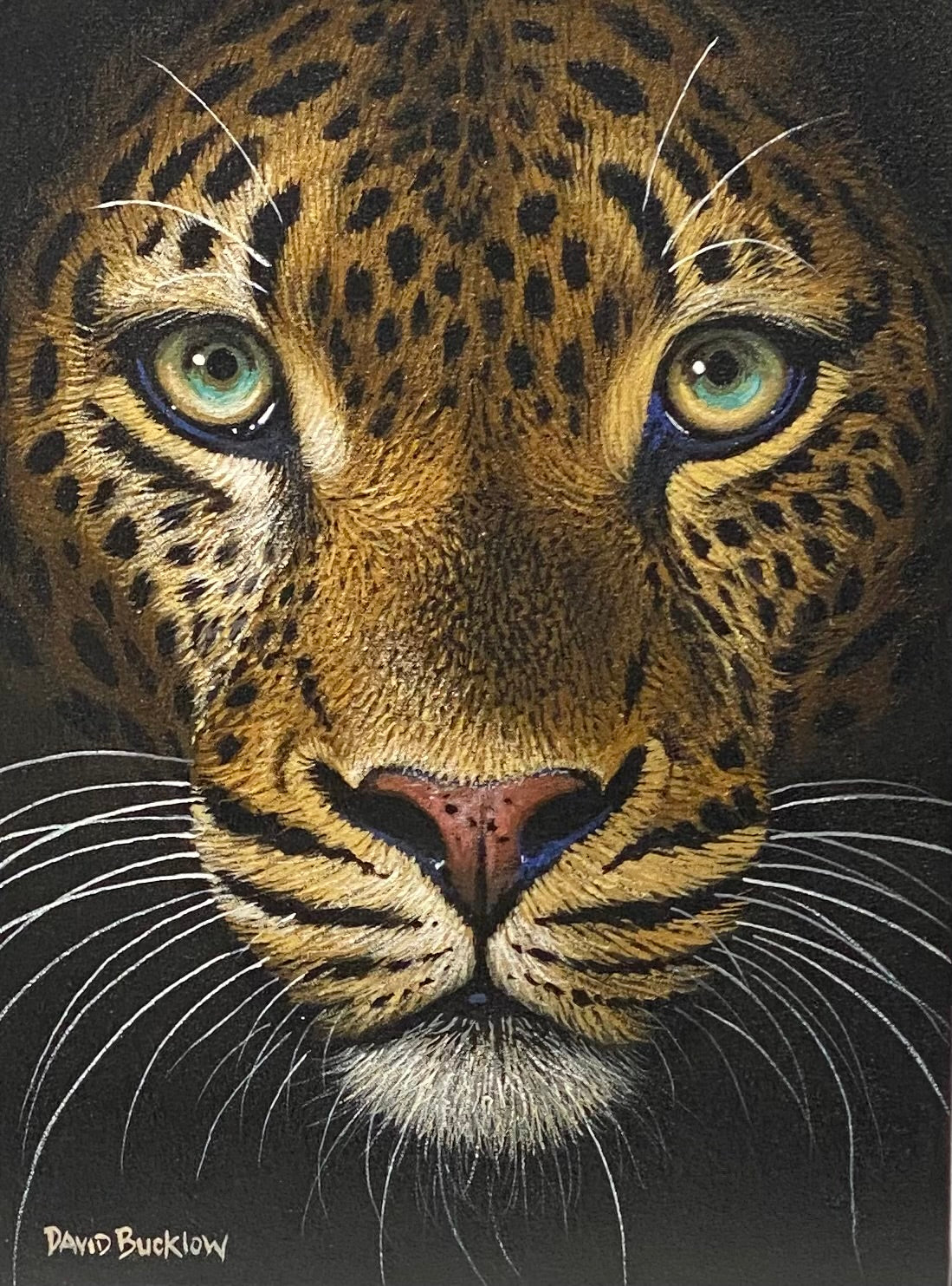 The Face of Spot – Fine Art Portfolio