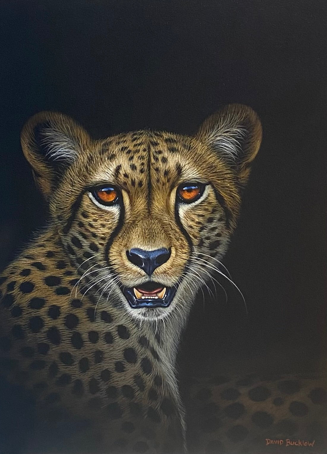 Whisper of Speed – Fine Art Portfolio
