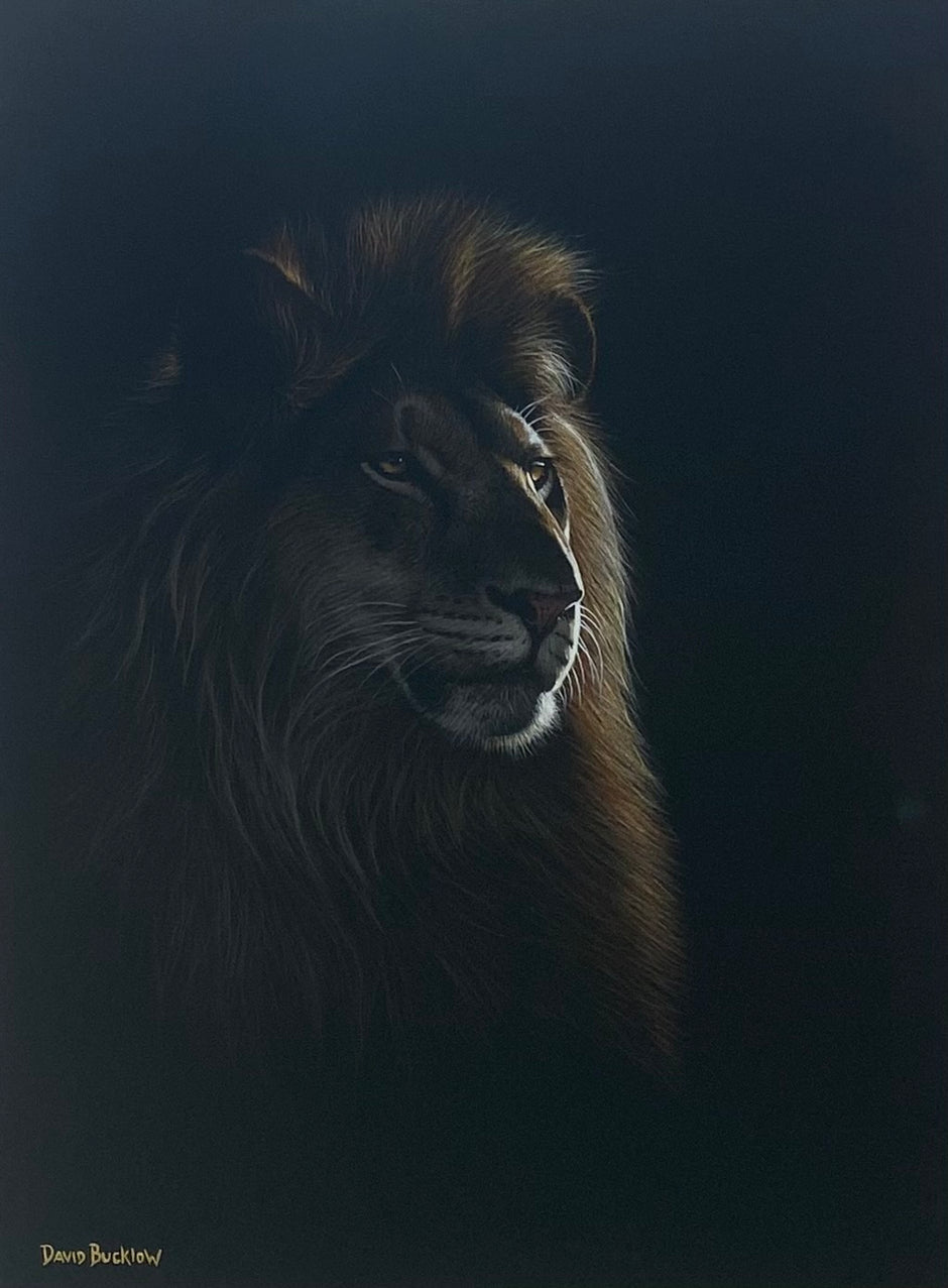 David Bucklow – Fine Art Portfolio