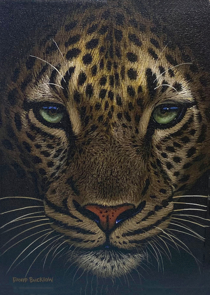 David Bucklow – Fine Art Portfolio