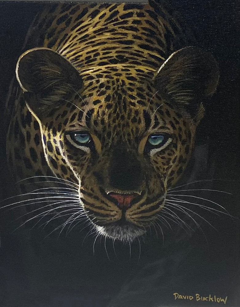 David Bucklow – Fine Art Portfolio
