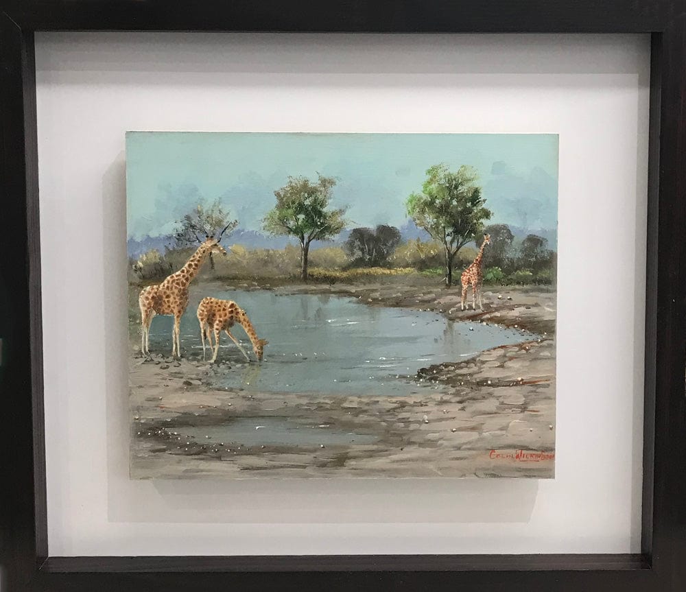 Colin Wilkinson – Fine Art Portfolio