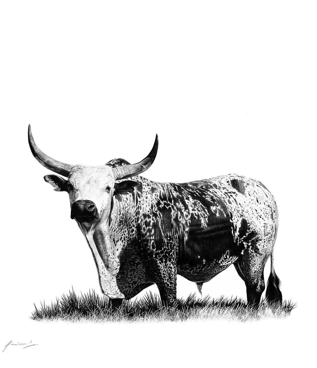 Vincent Reid – Fine Art Portfolio