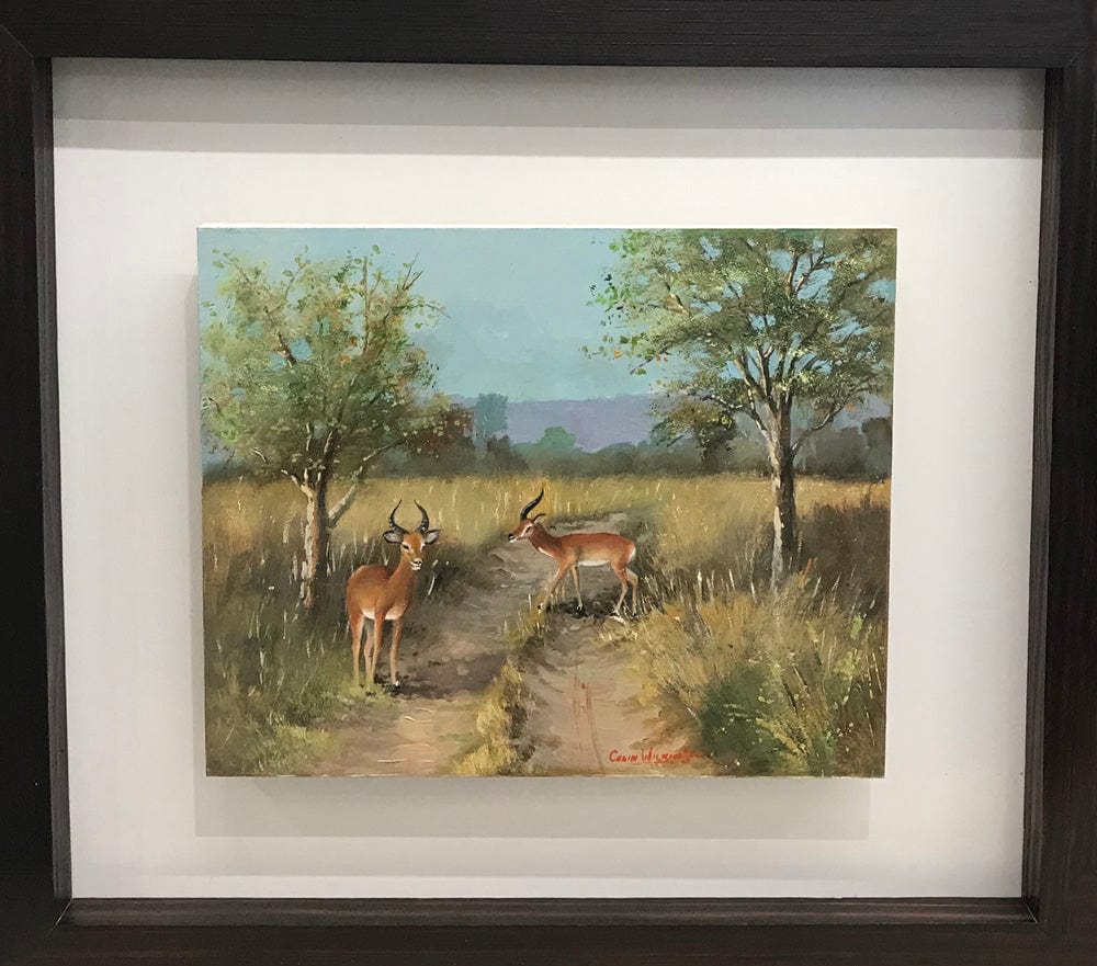 Colin Wilkinson – Fine Art Portfolio