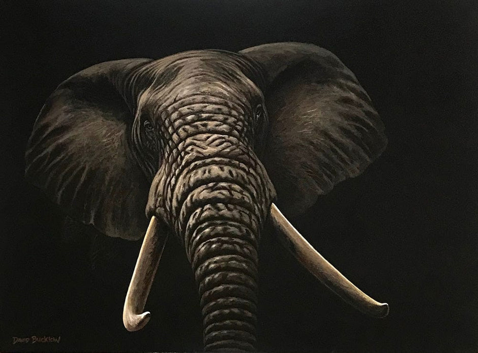 David Bucklow – Fine Art Portfolio
