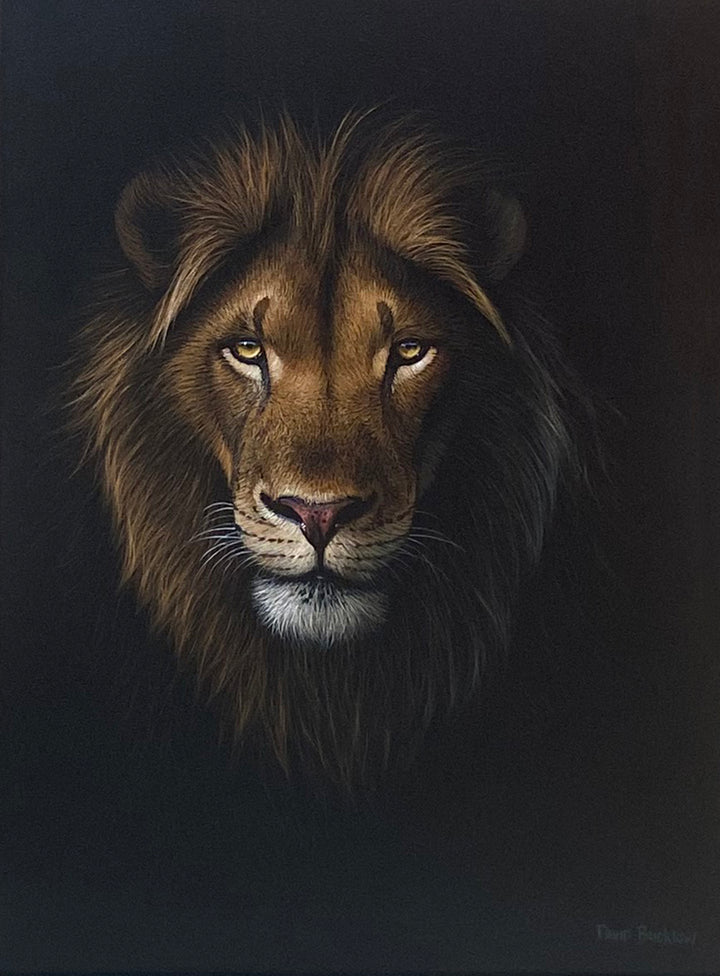 David Bucklow – Fine Art Portfolio