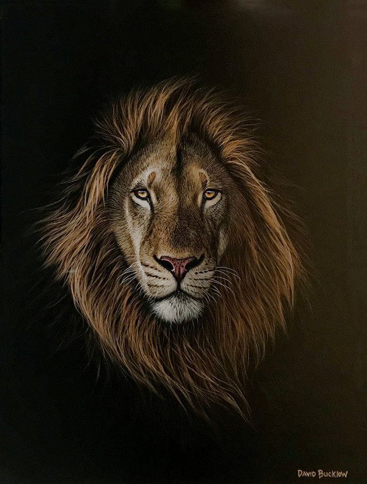 David Bucklow – Fine Art Portfolio